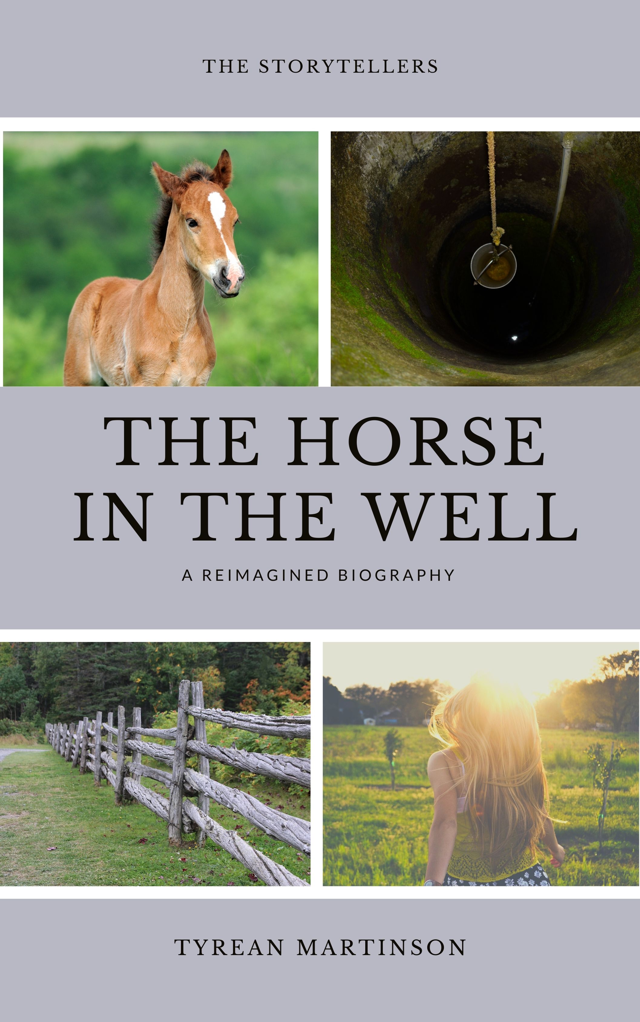 IWSG February: Book Covers – Tyrean’s Tales