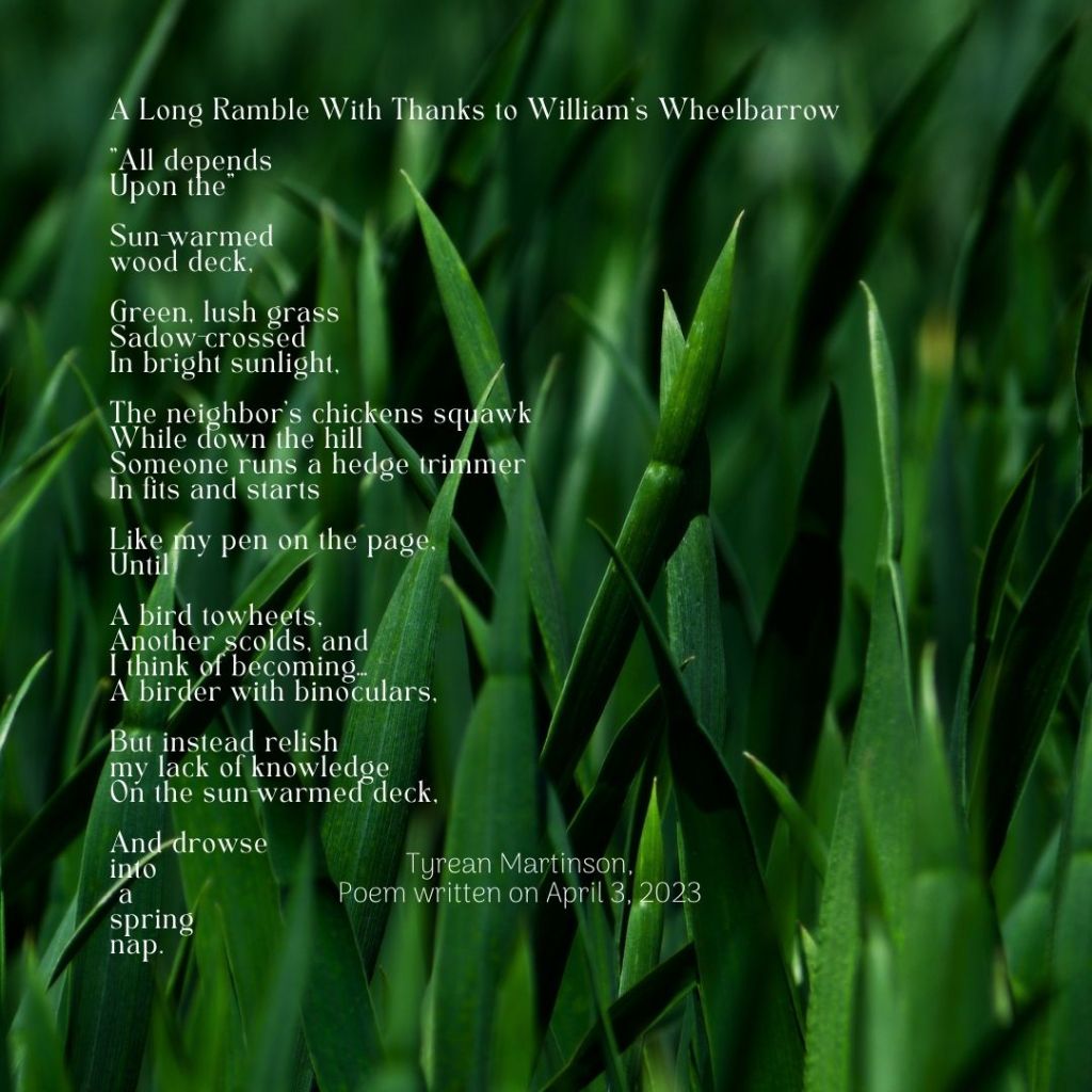 A Personal Poetry Challenge for National Poetry Month - Tyrean's Tales